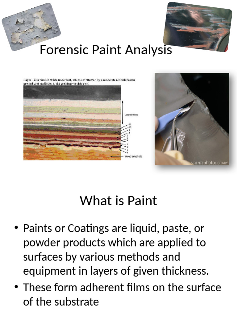 Forensic Paint Analysis | PDF | Paint | Coating