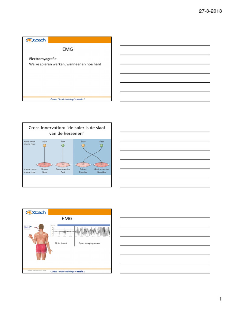 Cursus Krachttraining - Sessie 3 Kopie | PDF