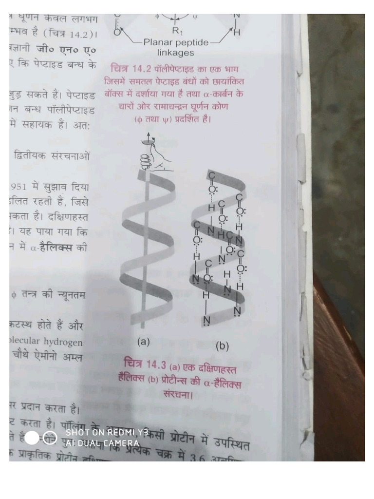 Protein Structure 2 | PDF
