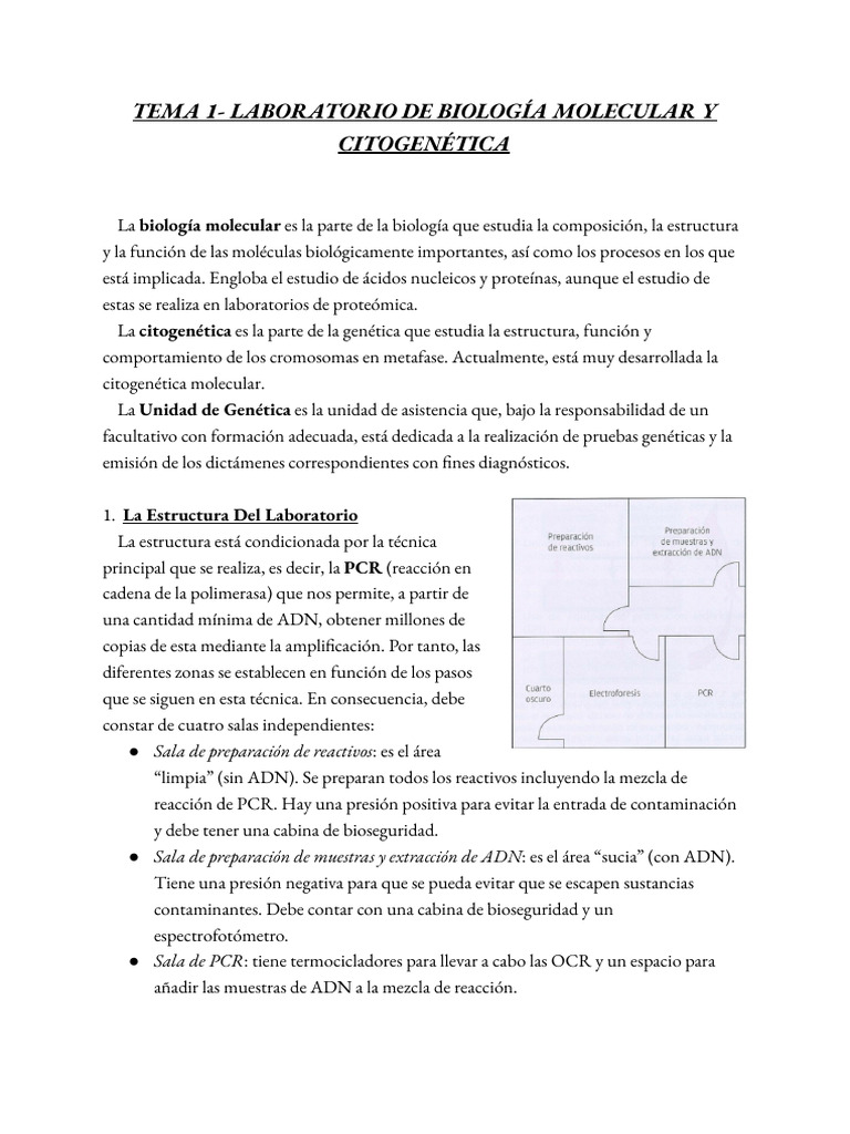 Tema 1 BMC | PDF | Reacción en cadena de la polimerasa | Adn