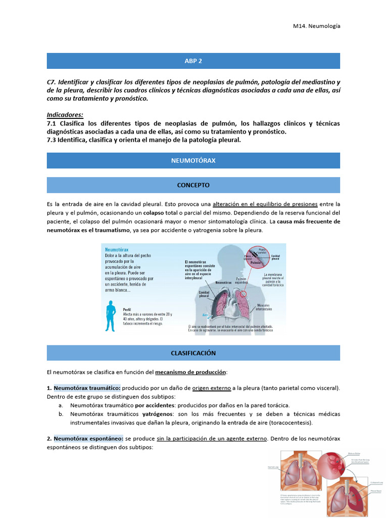 Abp 5 Final M14 | PDF | Adenocarcinoma | Pulmón