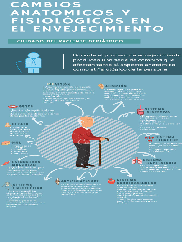 Cambios Anatomicos y Fisiológicos en El Envejecimiento | PDF | Músculo | Percepción visual