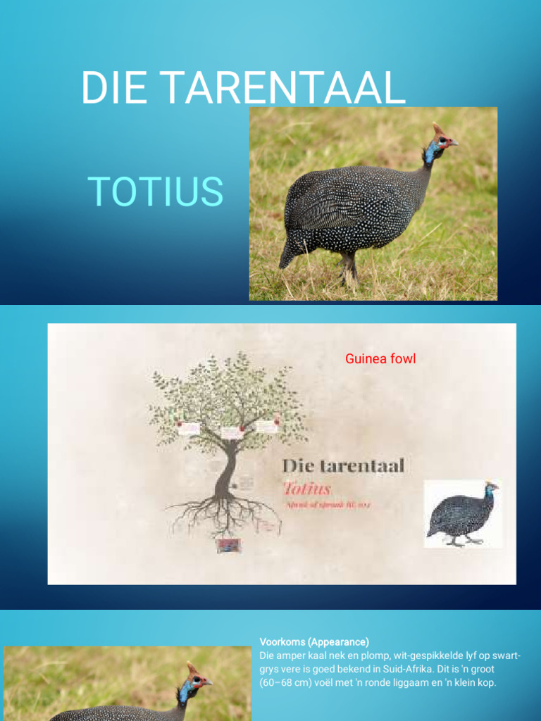Die Tarentaal (4915) 1 | PDF