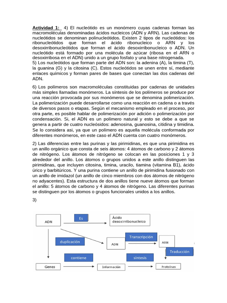 ADN y ARN | PDF | Rna | La transcriptasa inversa