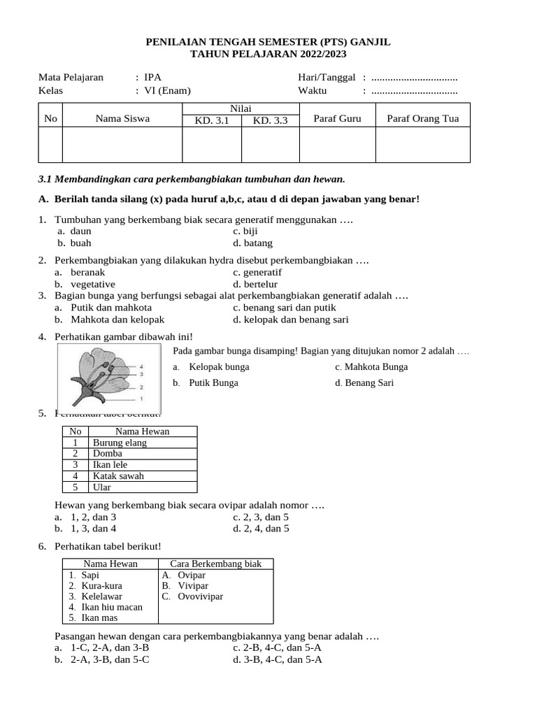 Naskah Soal PTS Kelas 6 Ipa | PDF