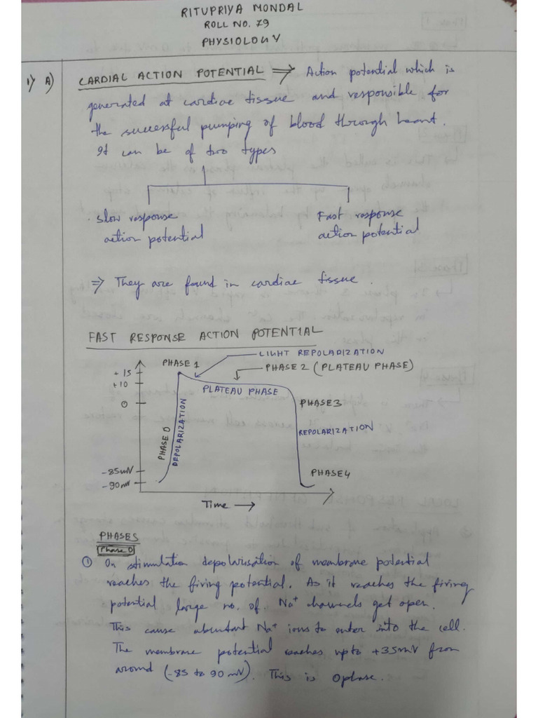 Anatomy Modules | PDF
