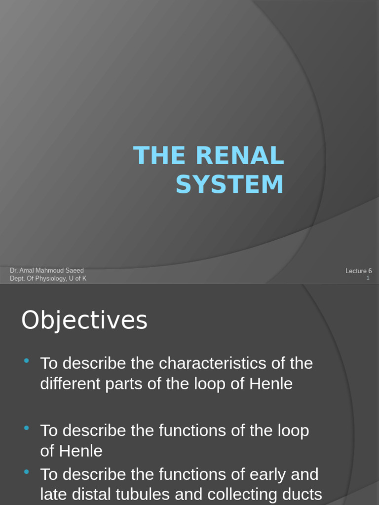 Renal System: Loop of Henle Functions | PDF | Urinary System | Kidney