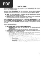 Amoeba Sisters_ Plants-Diversity, Structure & Adaptations Video | PDF ...