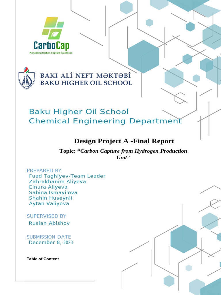 Group 8 Final Report | PDF | Adsorption | Gases