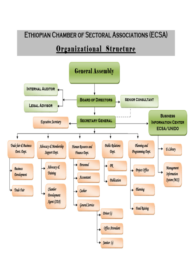 ECSA Organizational Structure Overview | PDF