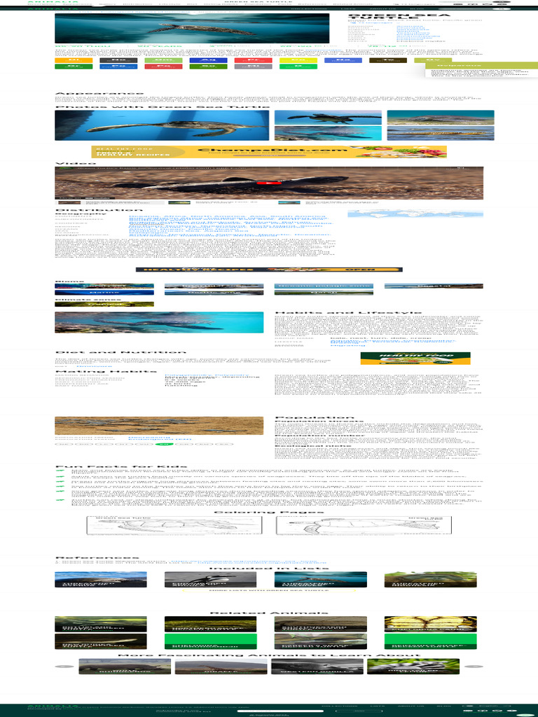 Green Sea Turtle - Facts, Diet, Habitat & Pictures On Animalia - Bio ...