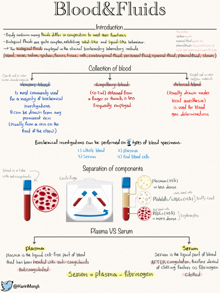 Comprehensive Guide to Accurate Blood and Urine Collection | PDF ... Comprehensive Guide to Accurate Blood and Urine Collection | PDF ...