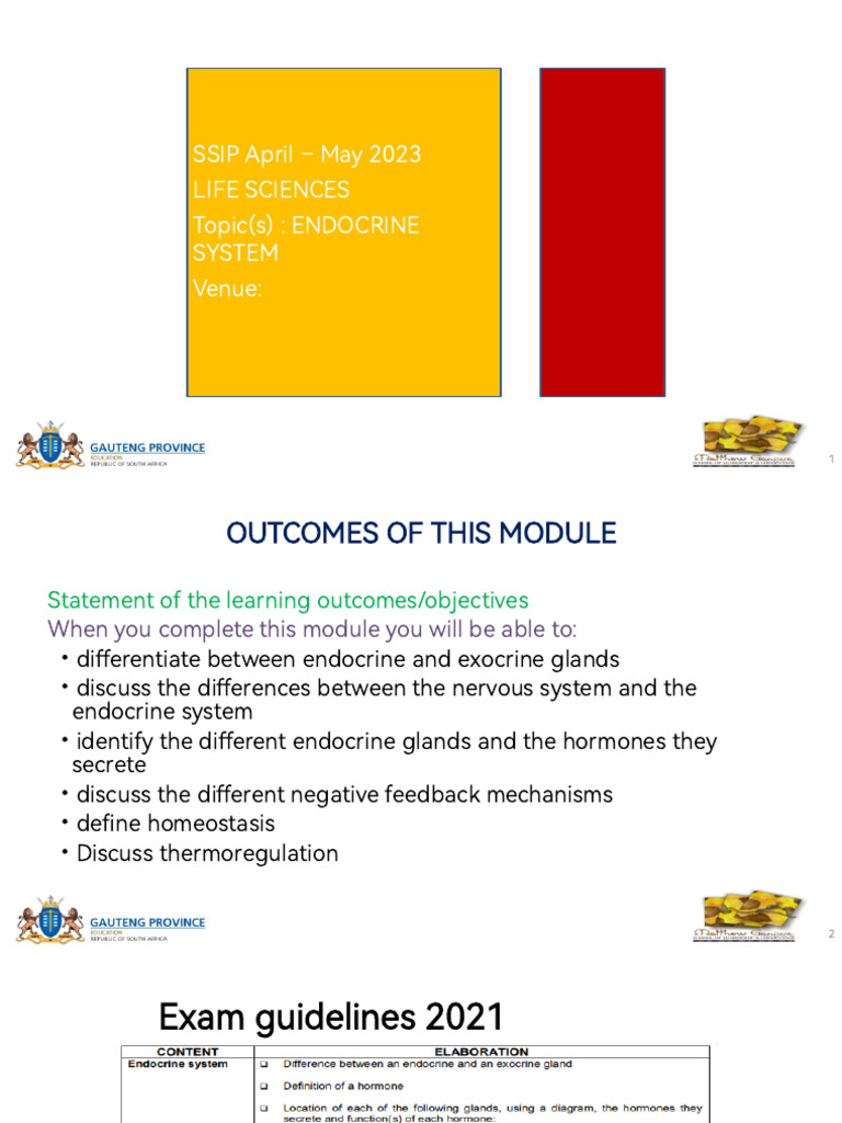 Module 5 PPT Endocrine System and Homeostasis 2023 | PDF | Hormone ...