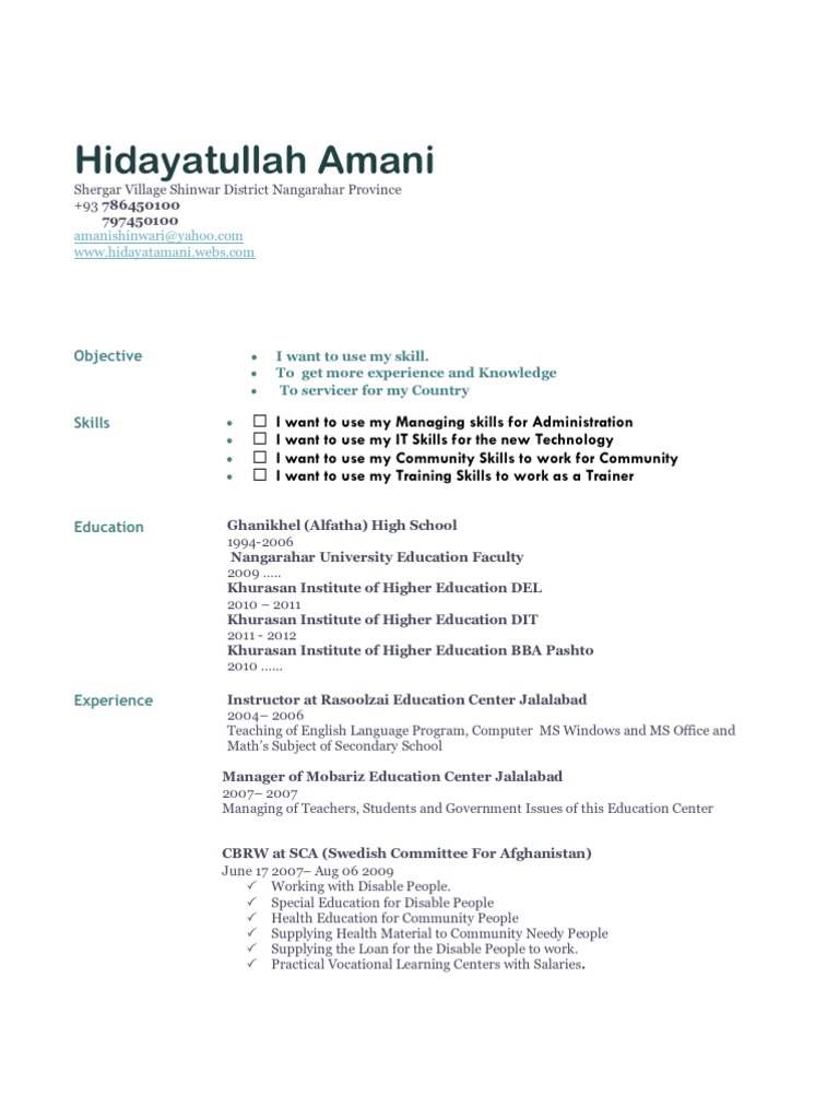 Hidayatullah Amani CV | PDF