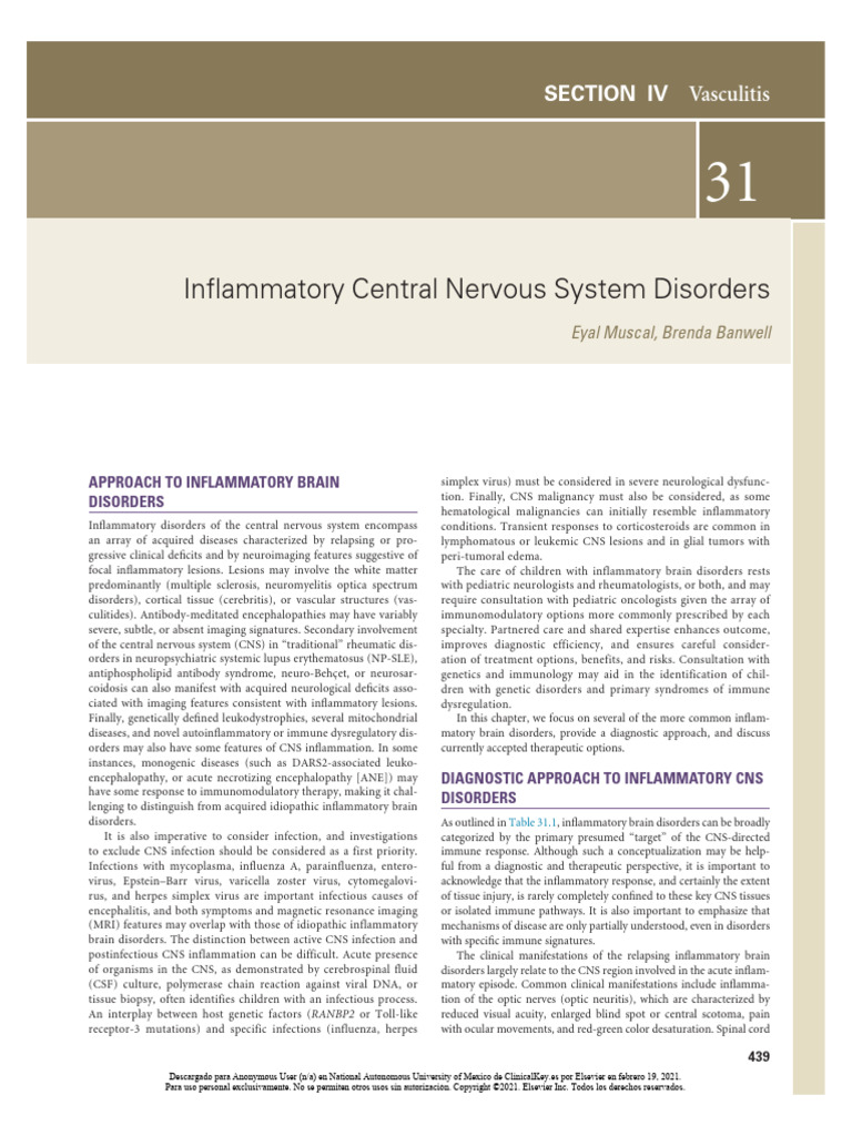 Chapter 31 Inflammatory Central Nervous System Disorders | PDF ...