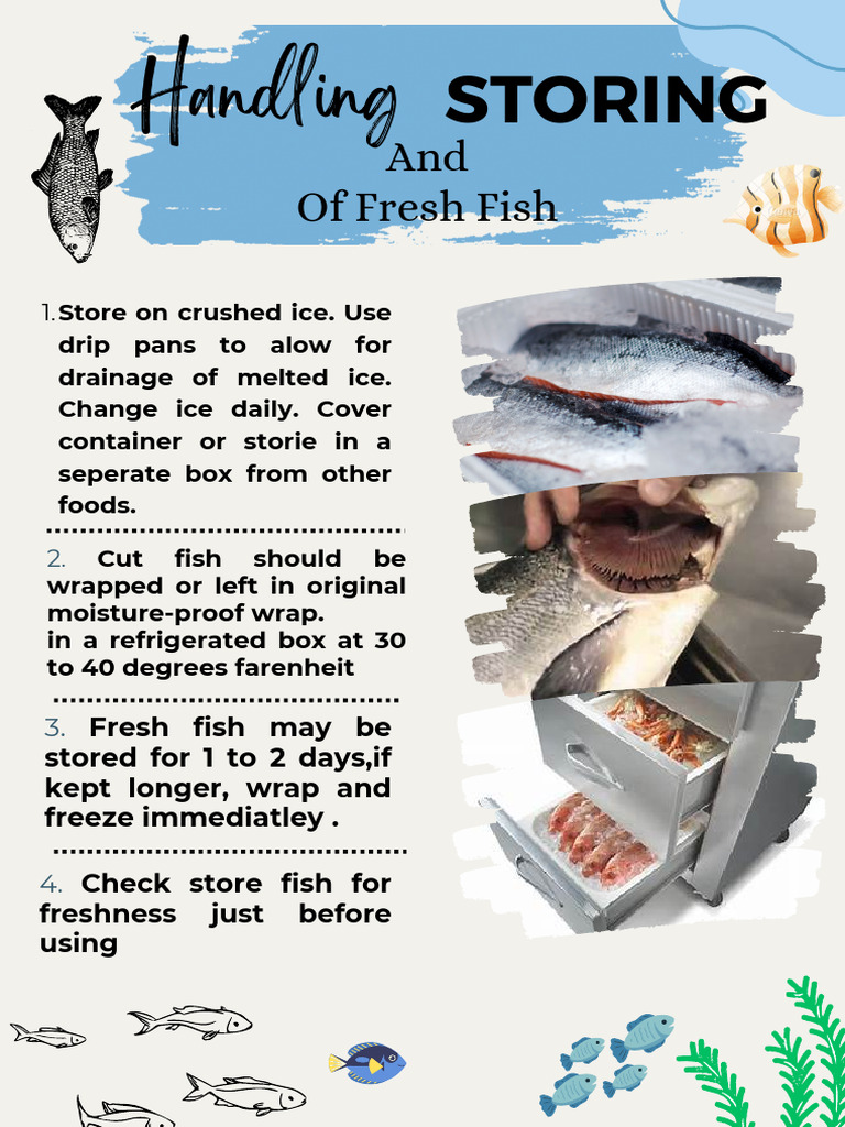 Seafood Infographic | PDF | Home & Garden