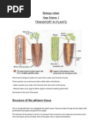 Transport in Plants - IGCSE Biology Notes | PDF | Leaf | Root