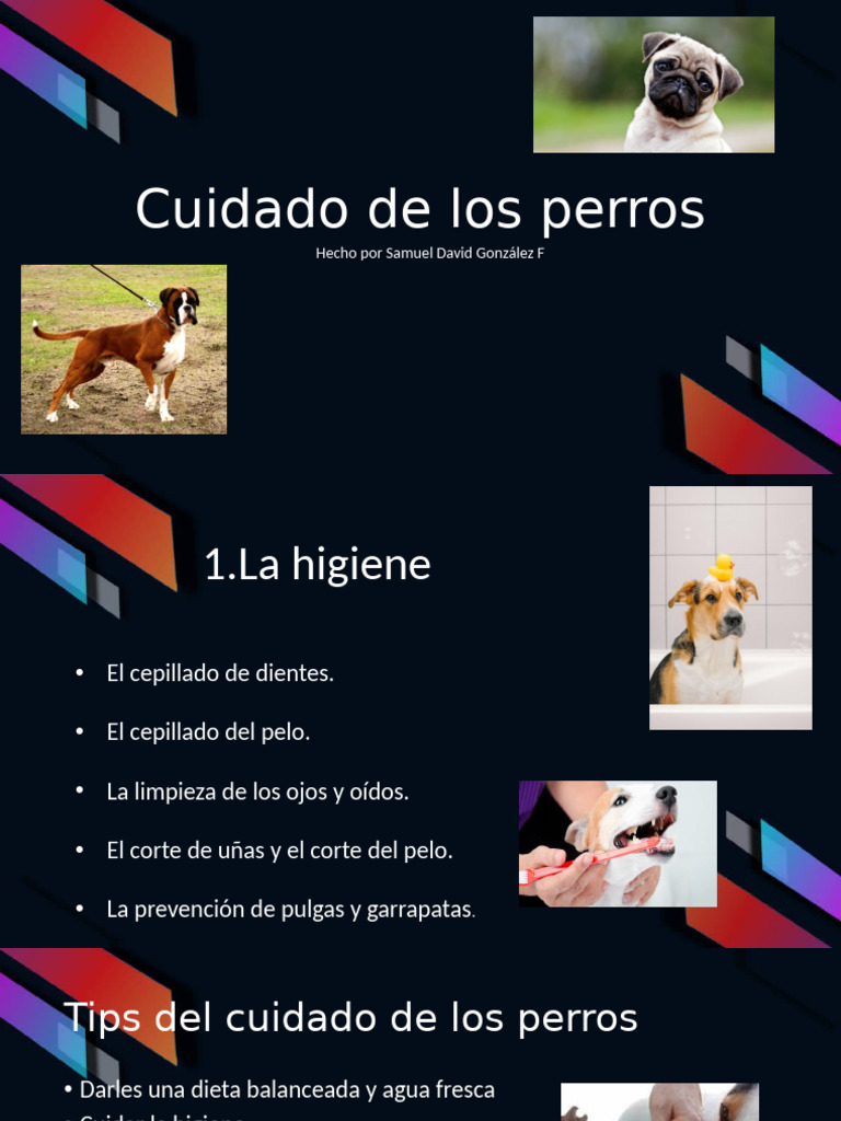 Cuidado de Los Perros | PDF | Hogar, jardinería y bricolaje
