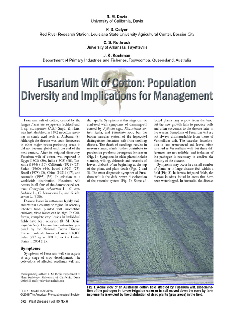 Fusarium Wilt in Cotton: Overview and Impact | PDF | Botany | Plants