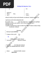 Turkish A1 Complete Exam | PDF