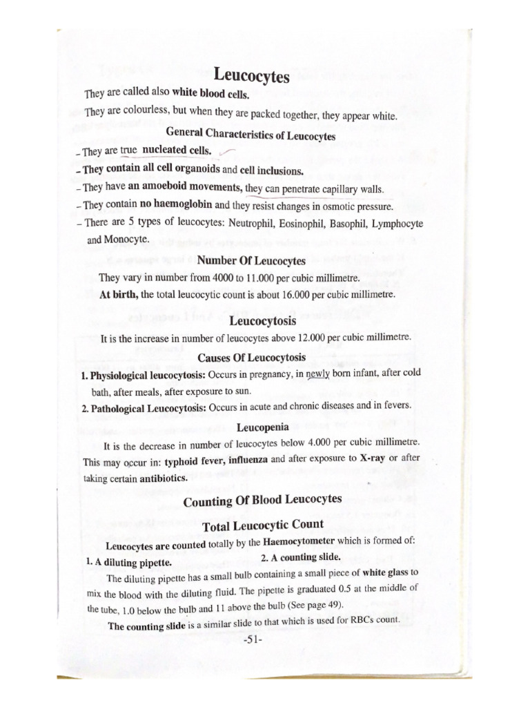 ' The B-Lymphocytes | PDF