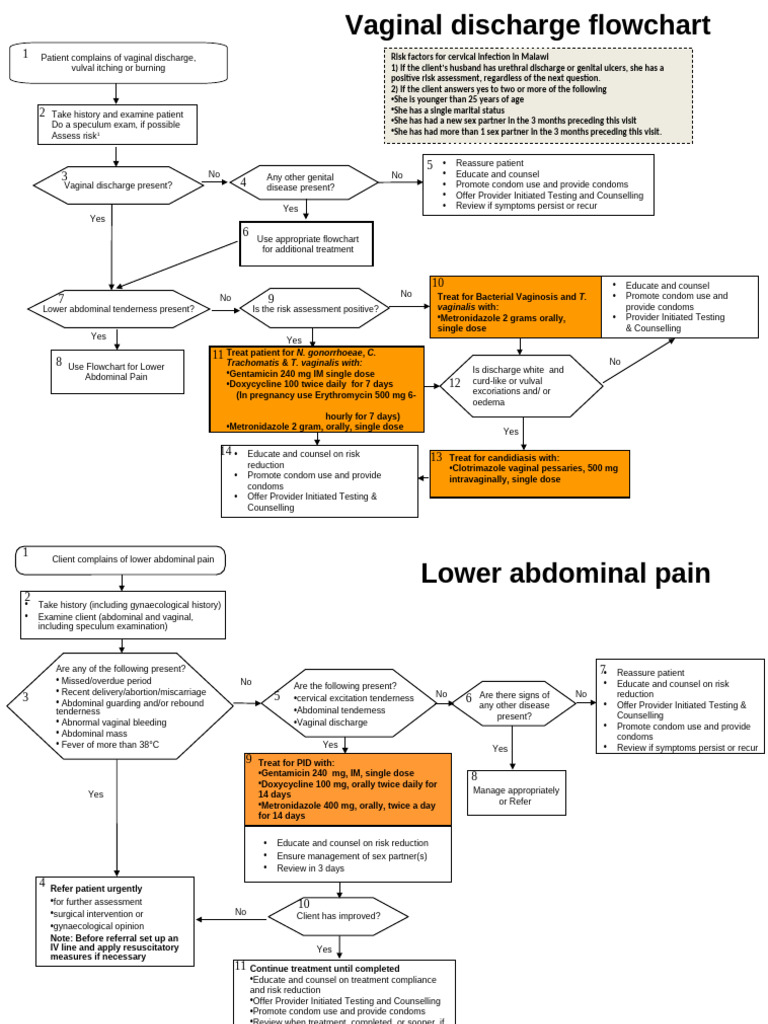 STI flow charts | PDF | Sexually Transmitted Infection | Health Sciences