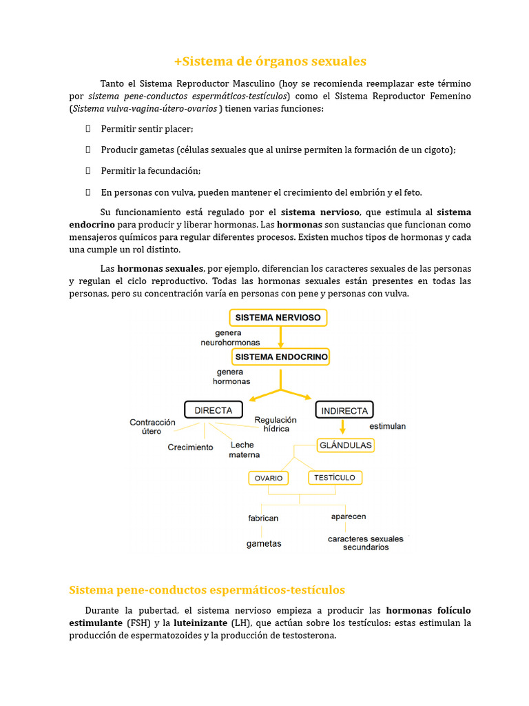 Sistema de - Rganos Sexuales | PDF | Vagina | Ovario