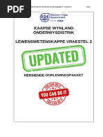 Swart Mag Beweging Langvraag | PDF
