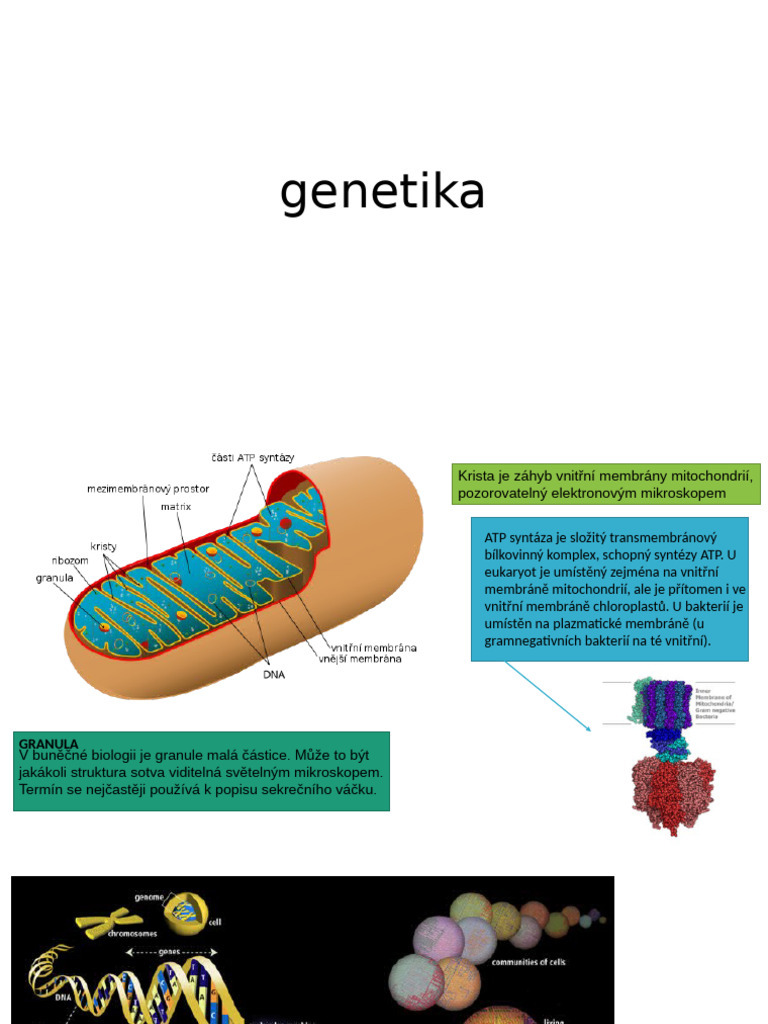 Genetika | PDF