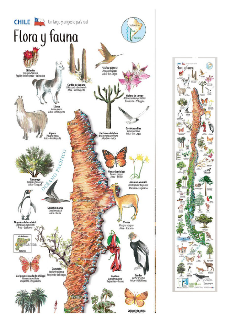 Flora y Fauna Chilena | PDF