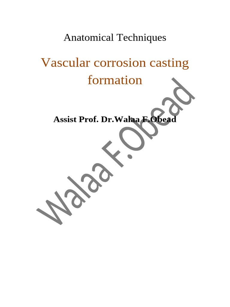 Vascular Corrosion Casting Techniques | PDF | Blood Vessel | Sodium ...