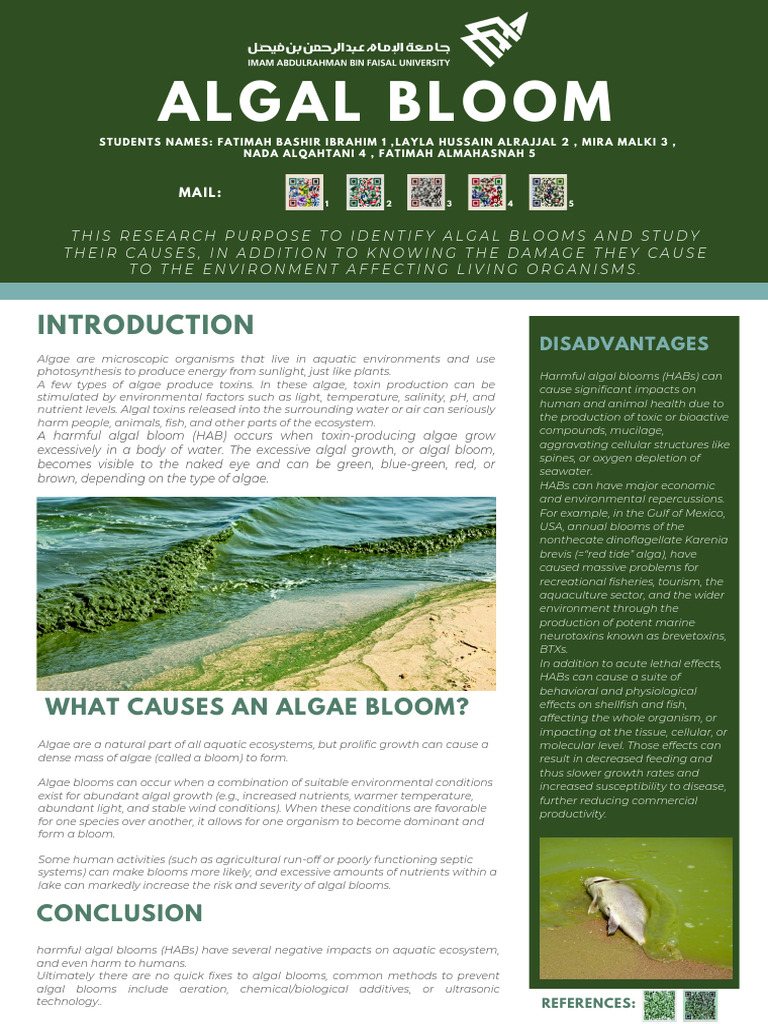Algal Bloom | PDF | Water | Symbiosis