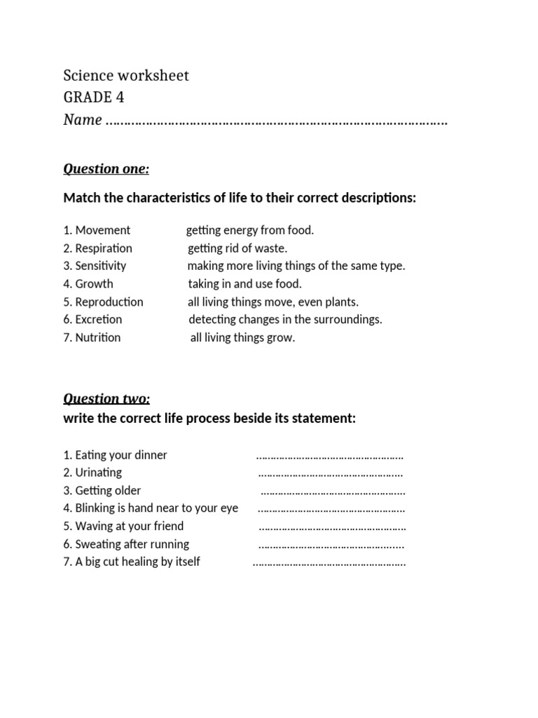 Science Worksheet GRADE 4 | PDF
