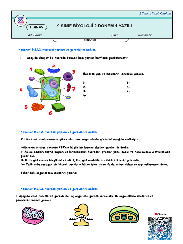 9.sinif Biyoloji 2.donem 1.yazili Ornegi PDF | PDF