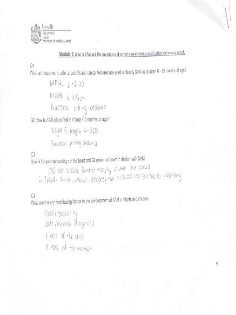 SAM Training-Compressed | PDF