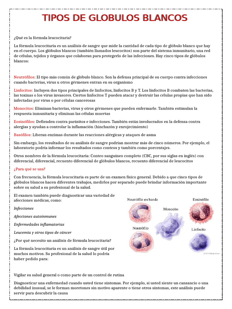Tipos de Globulos Blancos) | PDF | Leucocito | Especialidades Medicas