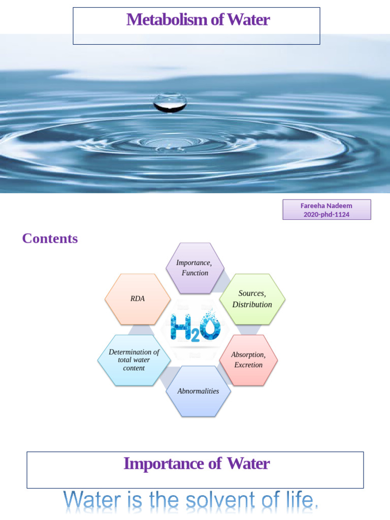 Water Metabolism and Its Functions | PDF | Kidney | Dehydration