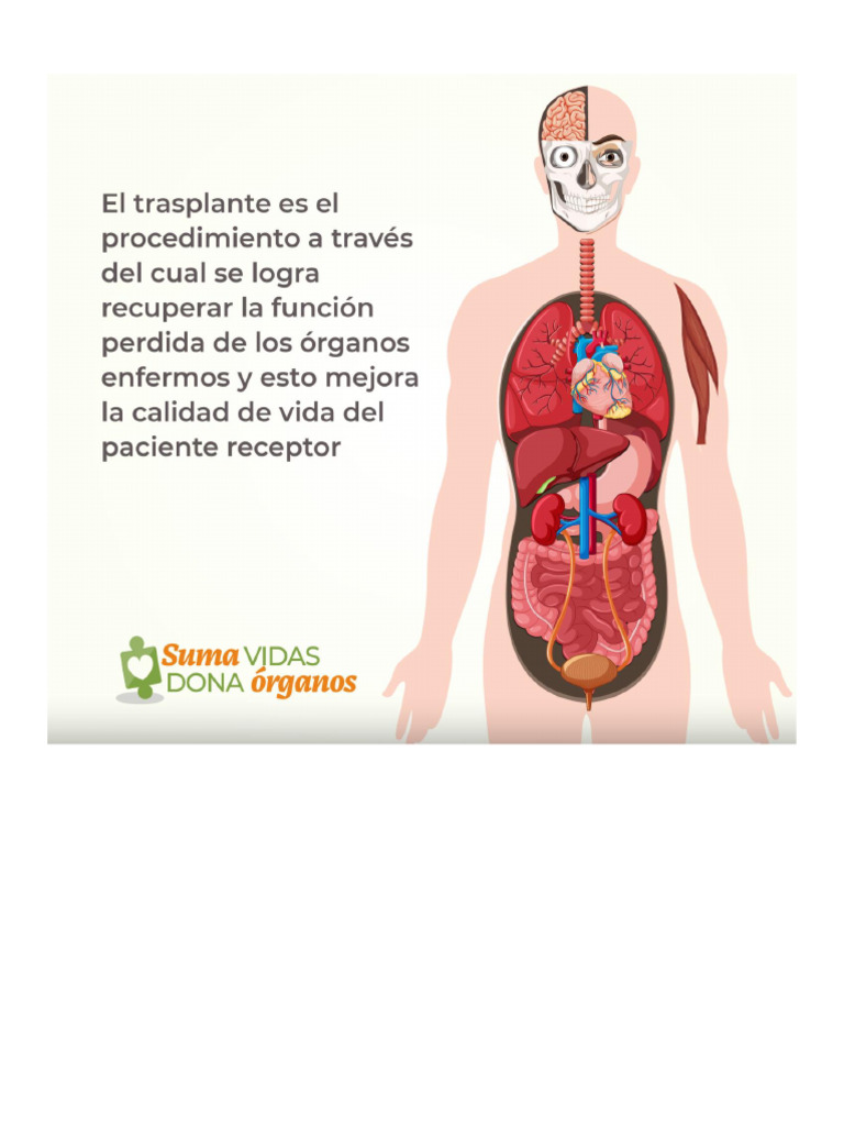 Imagenes 4 | PDF