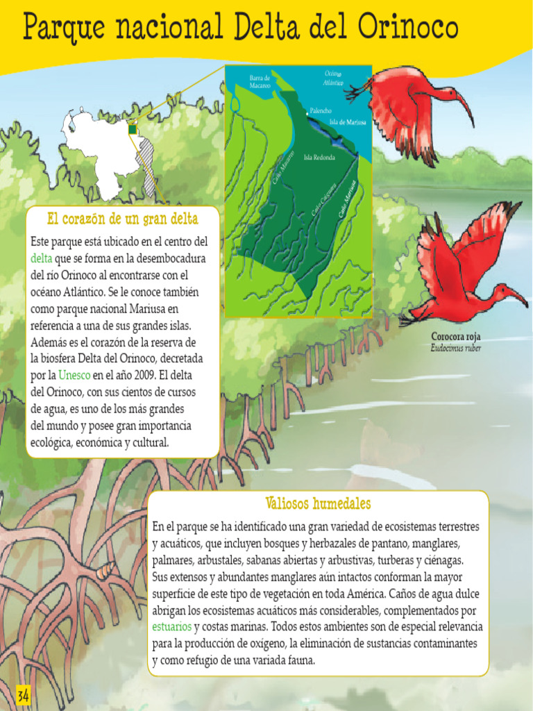 Parque Nacional Mariusa: Biodiversidad y Cultura | PDF | Mangle | Pantano