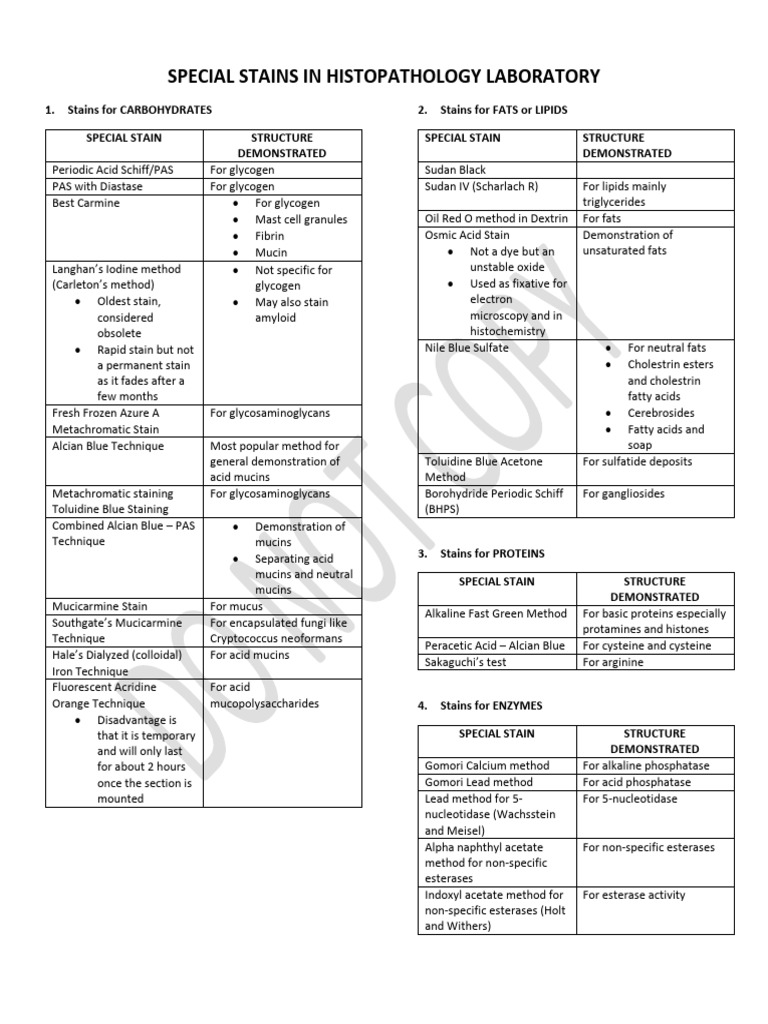 Special Stains in HP Laboratory | PDF | Staining | Axon