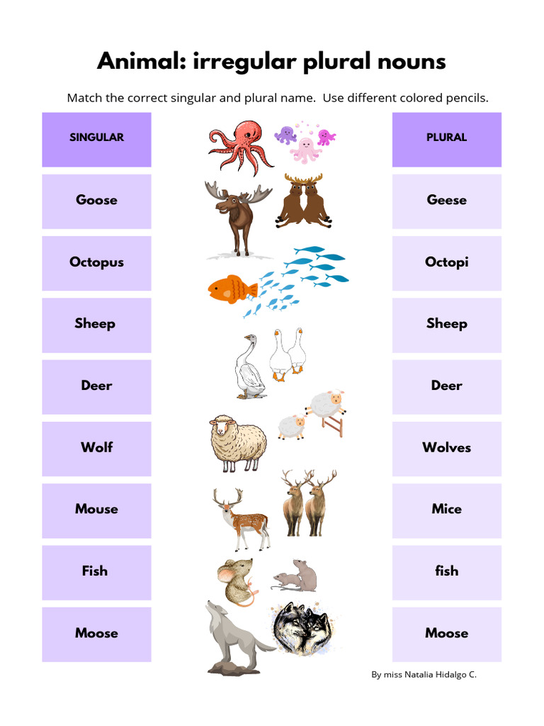 Irregular Animal Plurals Guide | PDF