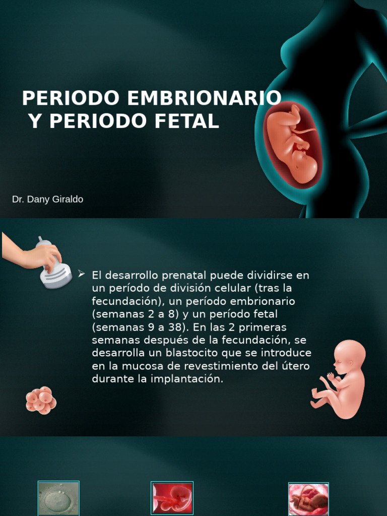 Genetic Disease Affecting Embryo by Slidesgo | PDF | Embrión | Riñón