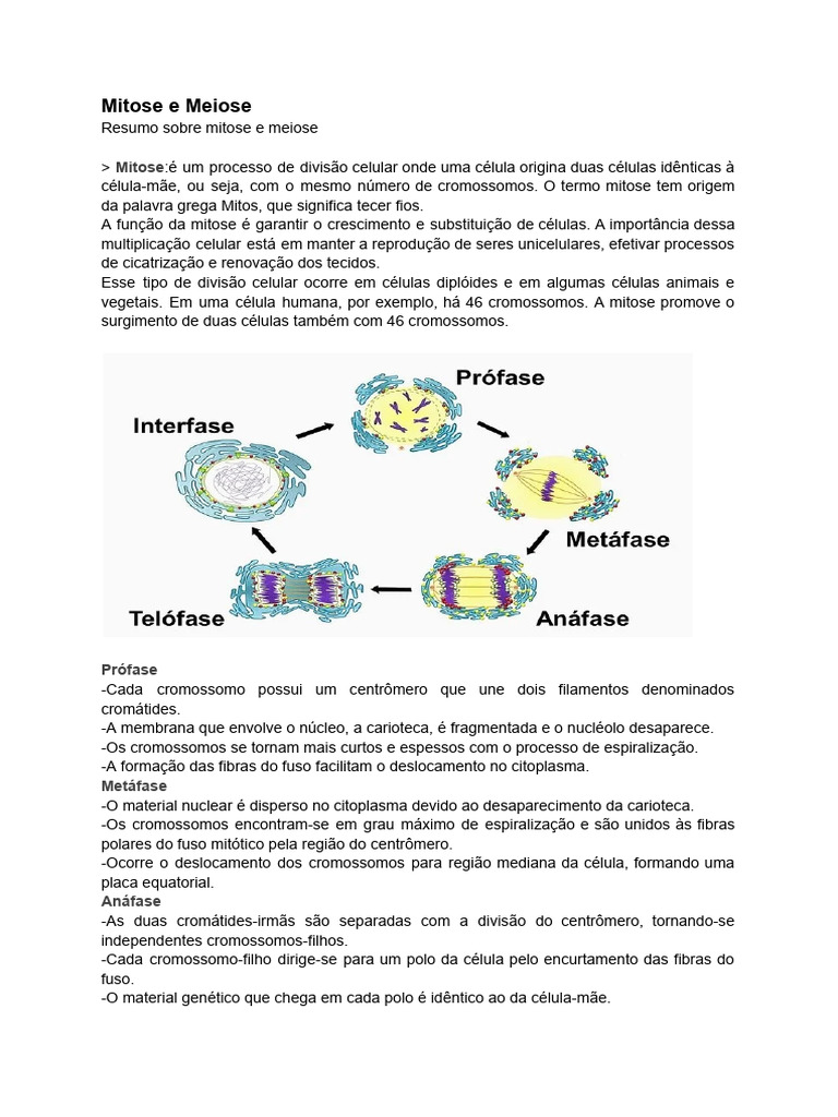 Mitose E Meiose Pdf Mitose Meiose
