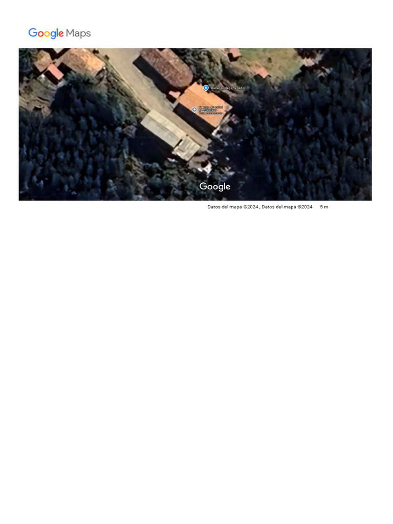 Google Maps | PDF