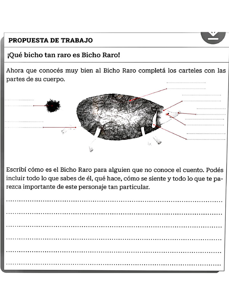 Cuento Bicho Raro | PDF