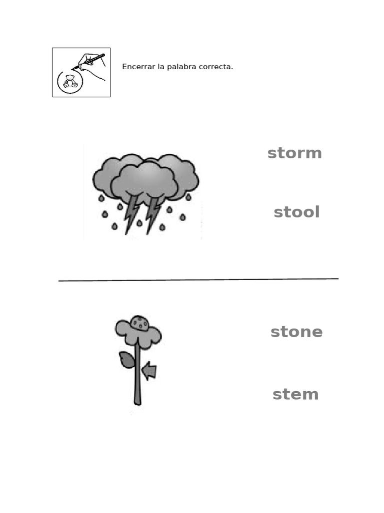 Worksheets Storm | PDF
