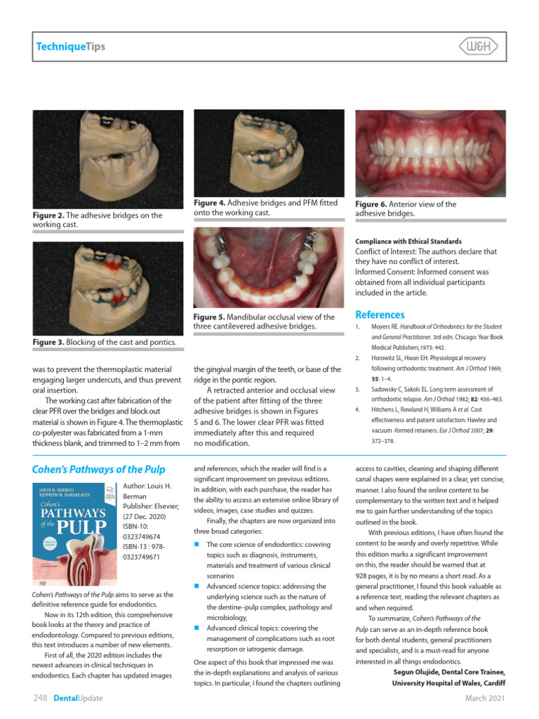 Endodontics Reference for Dentists | PDF | Medical Specialties | Dentistry