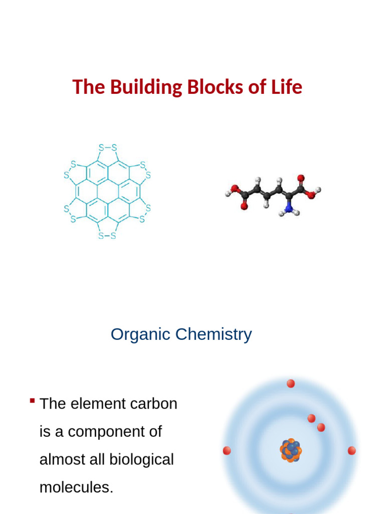 Building Blocks of Life | PDF | Macromolecules | Lipid