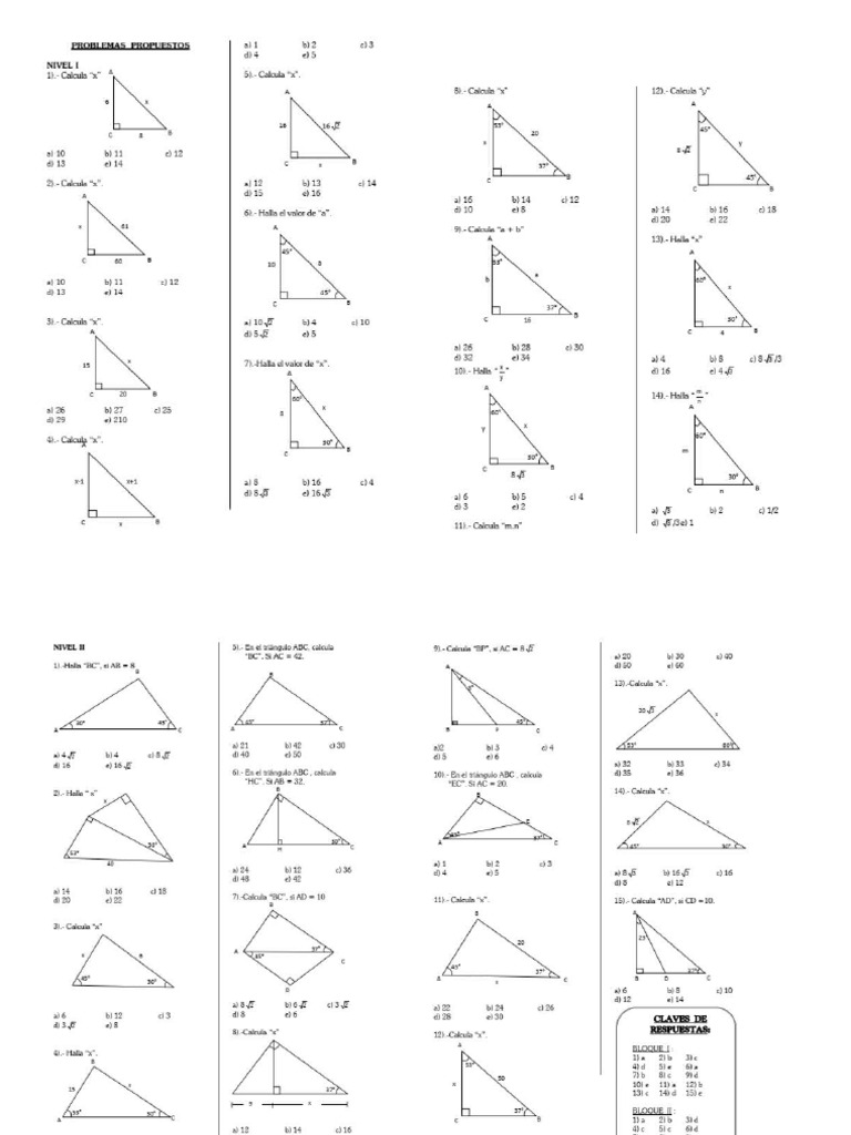 Triag. Not. y Teor. Pit. | PDF