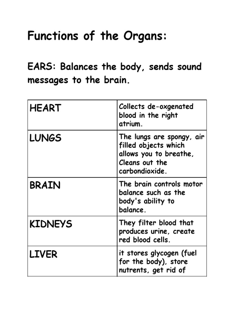 Functions of the Organs | PDF
